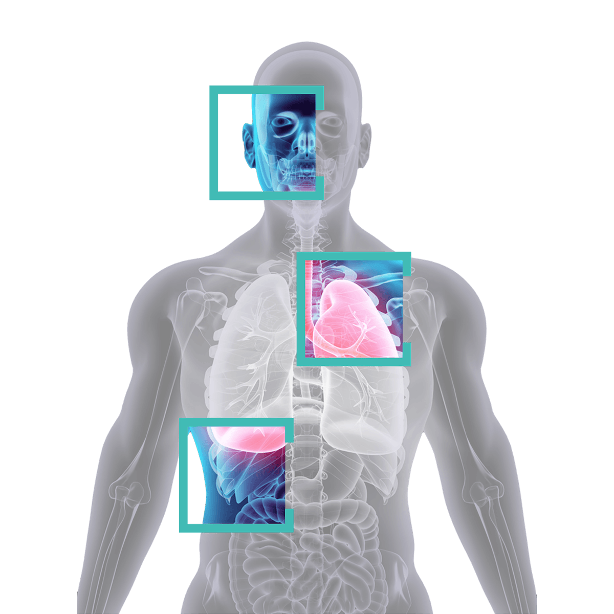 AI Technology Clinical Trial Imaging CRO | Voiant