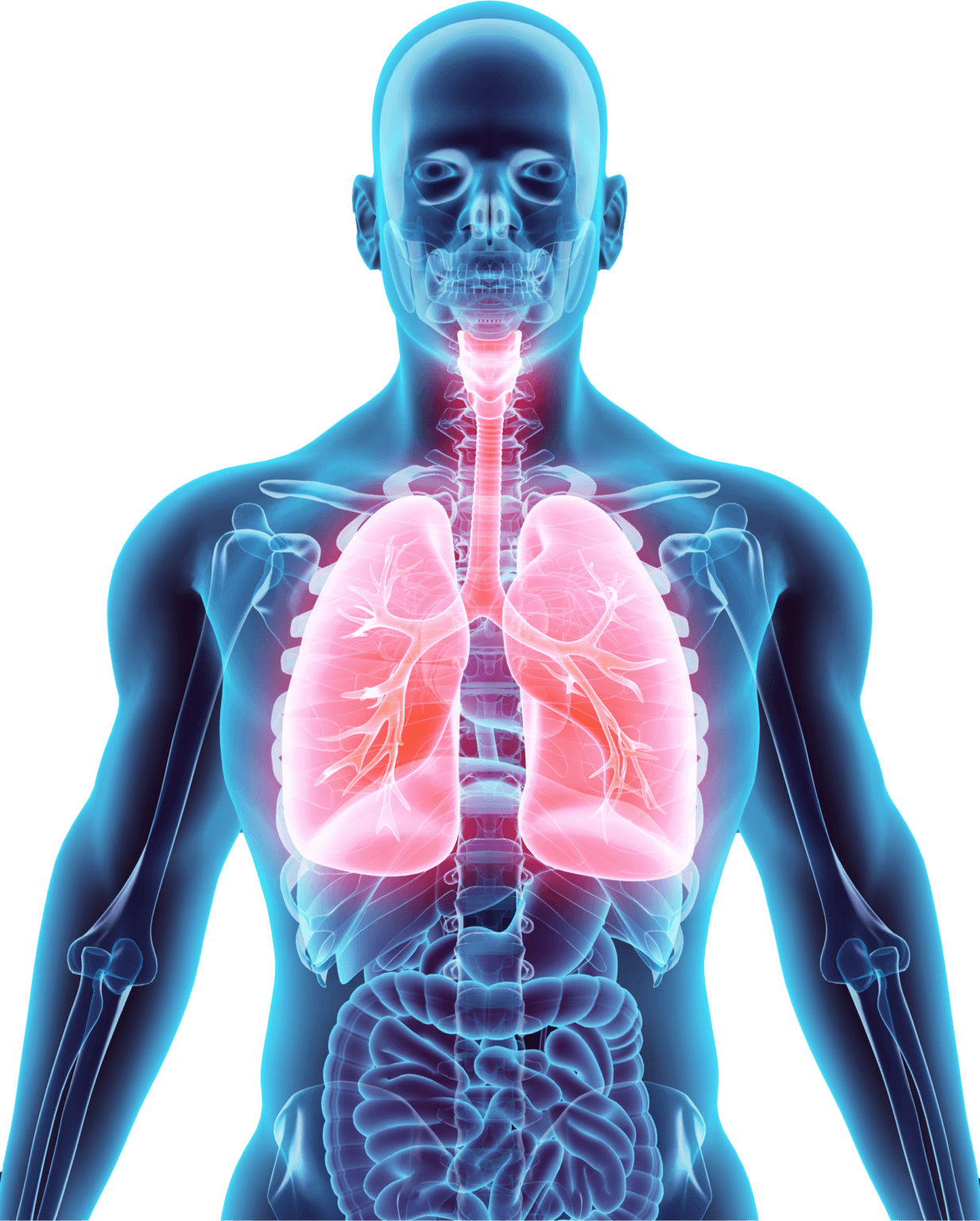 AI Technology Clinical Trial Imaging CRO | Voiant