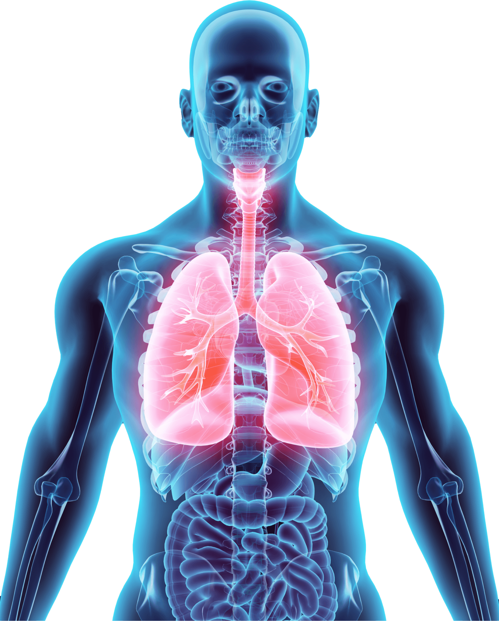 AI Technology Clinical Trial Imaging CRO | Voiant