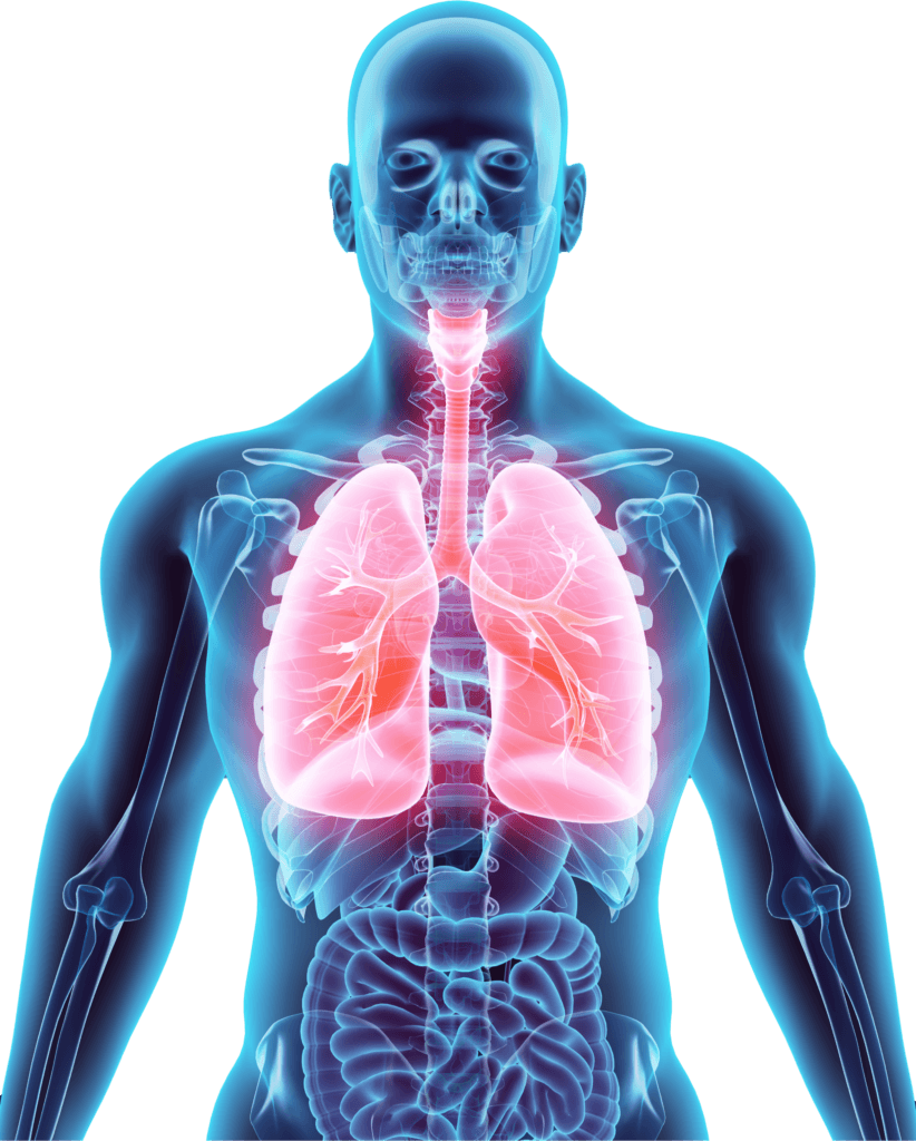 AI Technology Clinical Trial Imaging CRO | Voiant