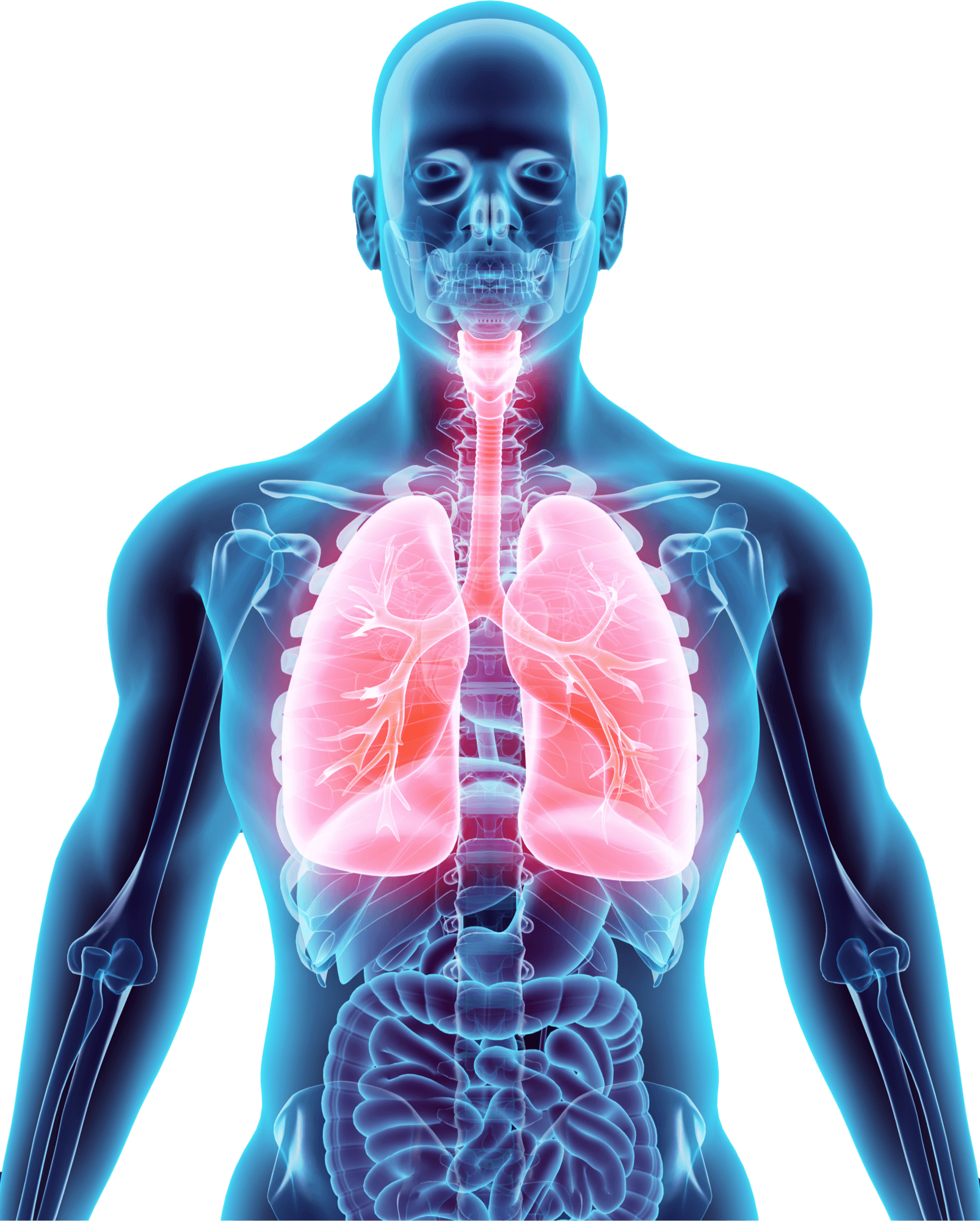 AI Technology Clinical Trial Imaging CRO | Voiant